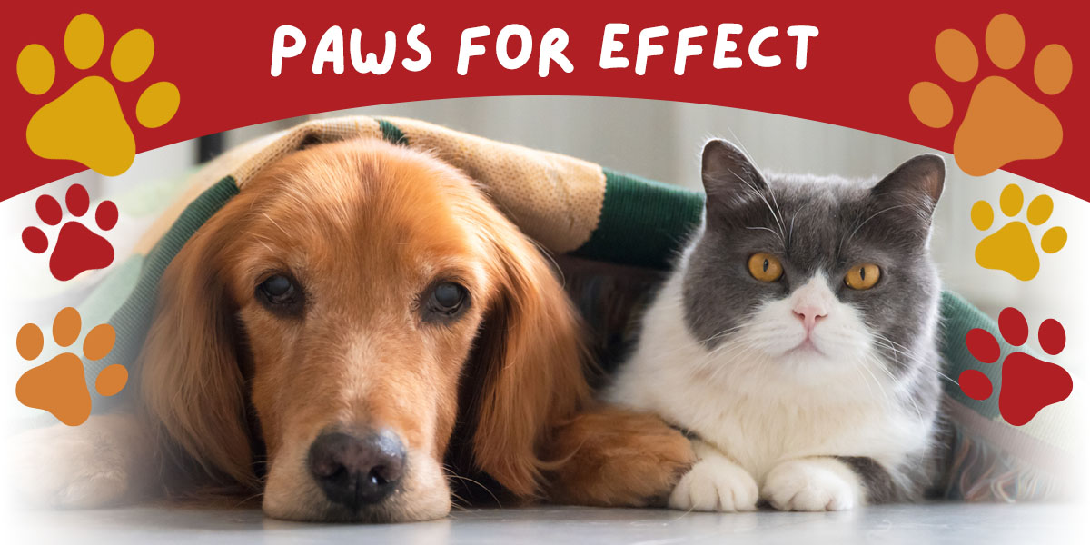 Paws for Effect | Monthly Giving Program
